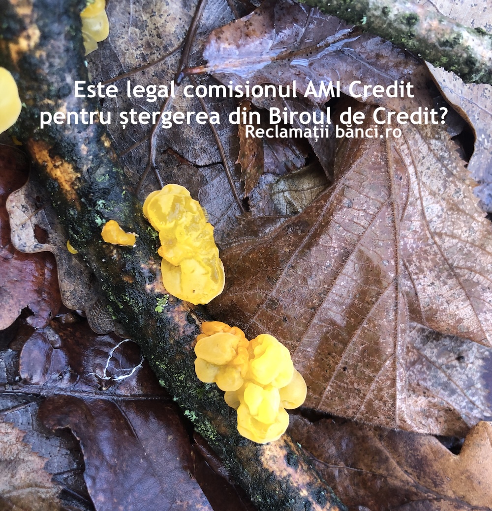 Este legal comisionul AMI Credit pentru ștergerea din Biroul de Credit ...